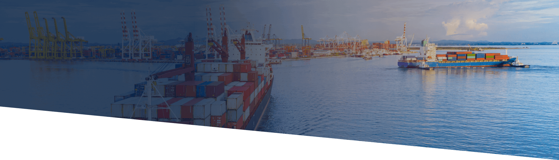 Carga LCL – CHAIN GROUP LOGISTICS S.A.S